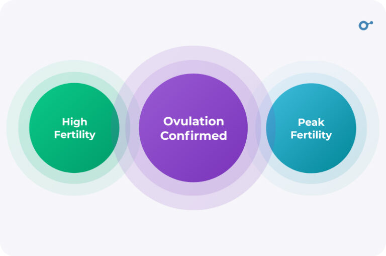 What do your progesterone levels mean after ovulation? - Inito