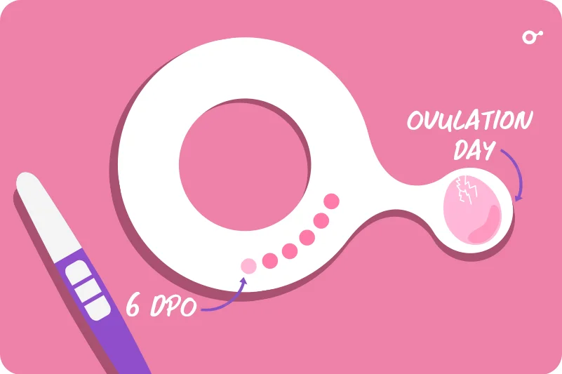 6 DPO Pregnancy Test: Can I Trust the Accuracy? - Inito