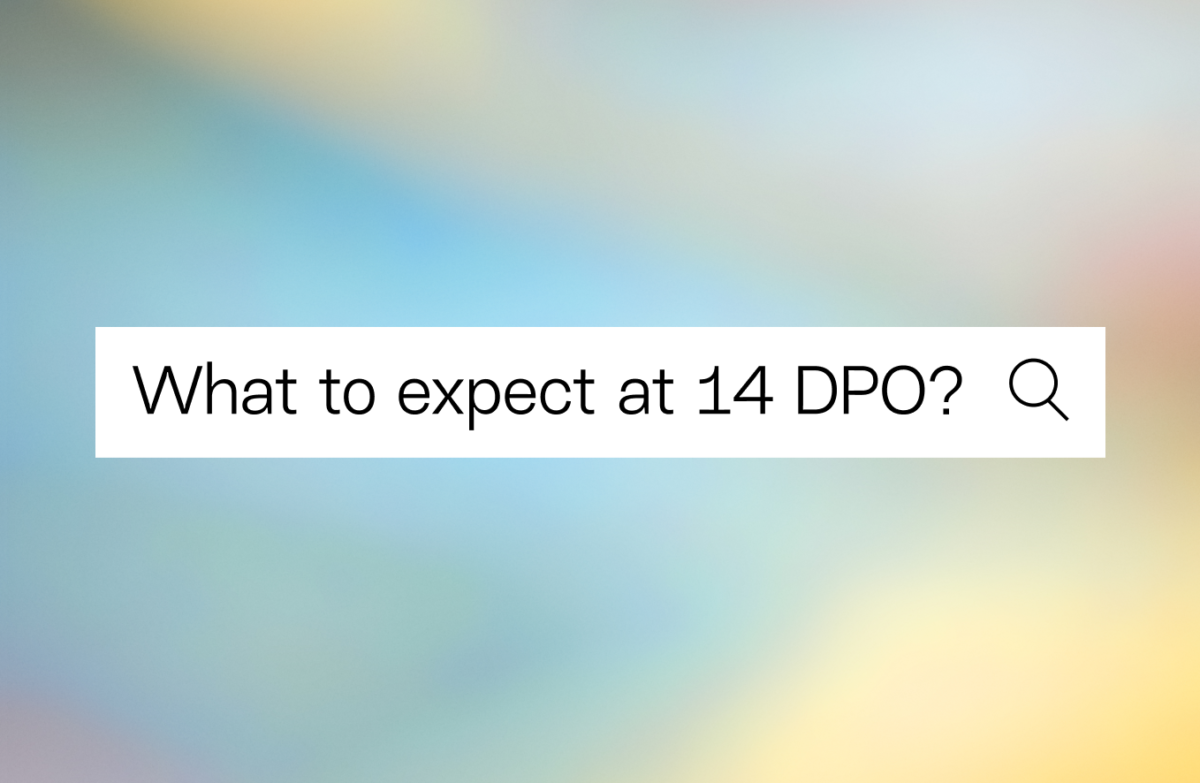 14 DPO Symptoms: What to Expect at 14 Days Past Ovulation
