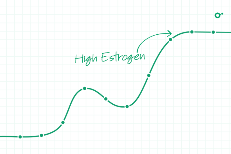 Estrogen Dominance And How Does It Affect The Body Inito