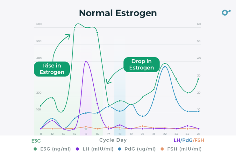 Estrogen Dominance and How Does It Affect the Body? - Inito