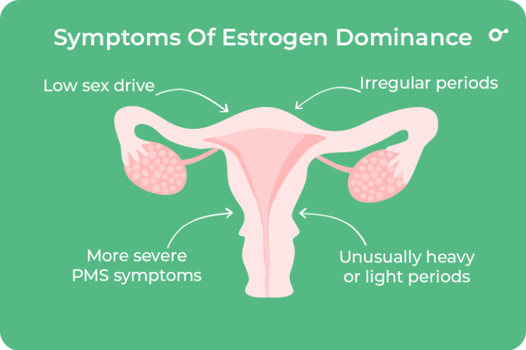 Estrogen Dominance and How Does It Affect the Body? - Inito