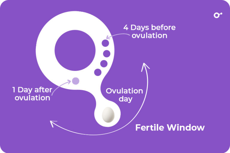 Chances of Getting Pregnant on Ovulation Day: What to Know