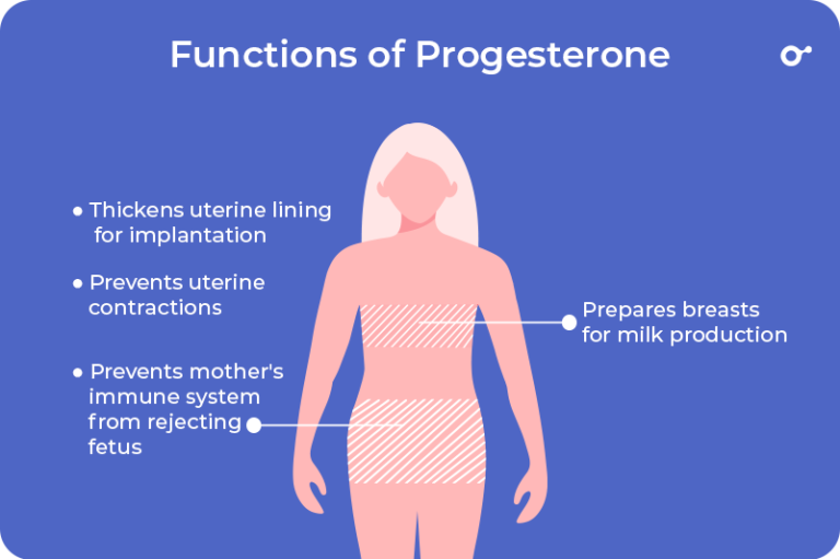 How To Increase Progesterone To Get Pregnant? - Inito