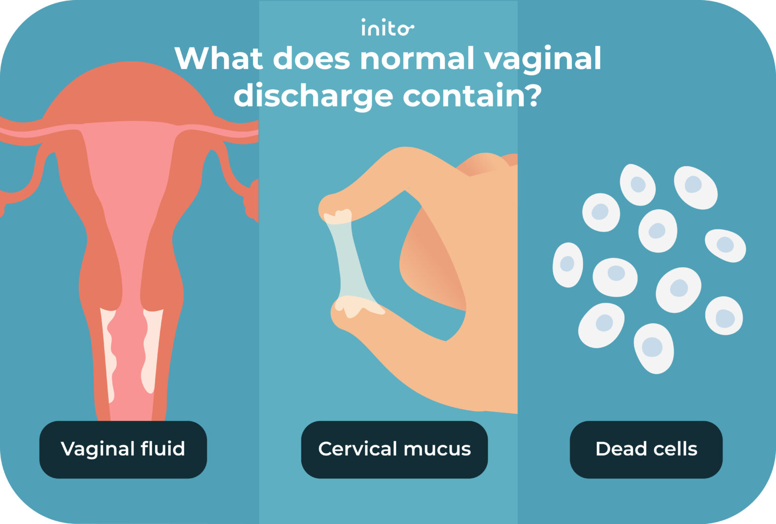 Luteal Phase Discharge: What It’s Telling You - Inito