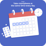 10 Tips for Getting Pregnant on Clomid® - Inito