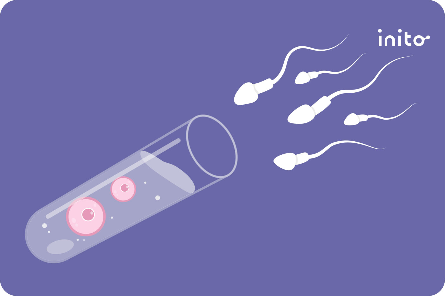 IVF Process: Your Step-by-Step Guide from Start to Finish - Inito