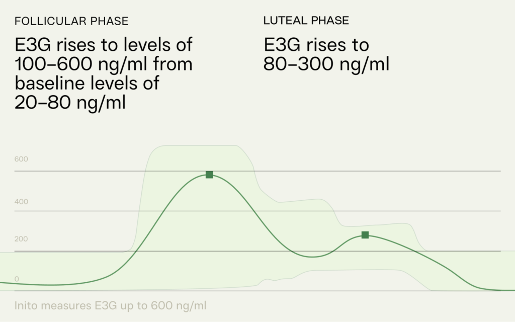 Fertility Hormones Explained: Track Your Cycle with Inito