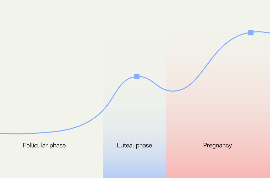 Progesterone 101: Role in Ovulation, Fertility & Pregnancy